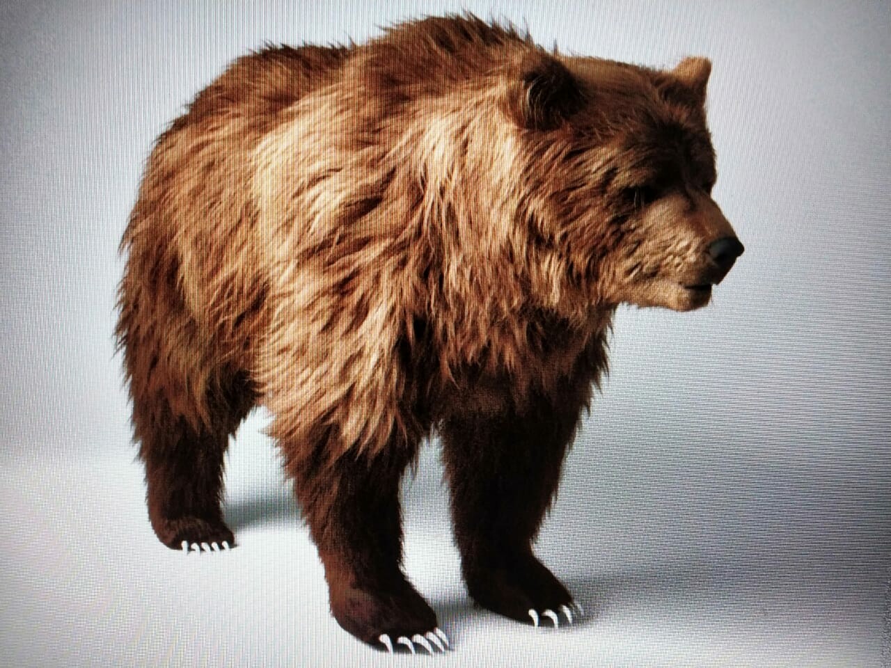 ArtStation - BEAR FUR