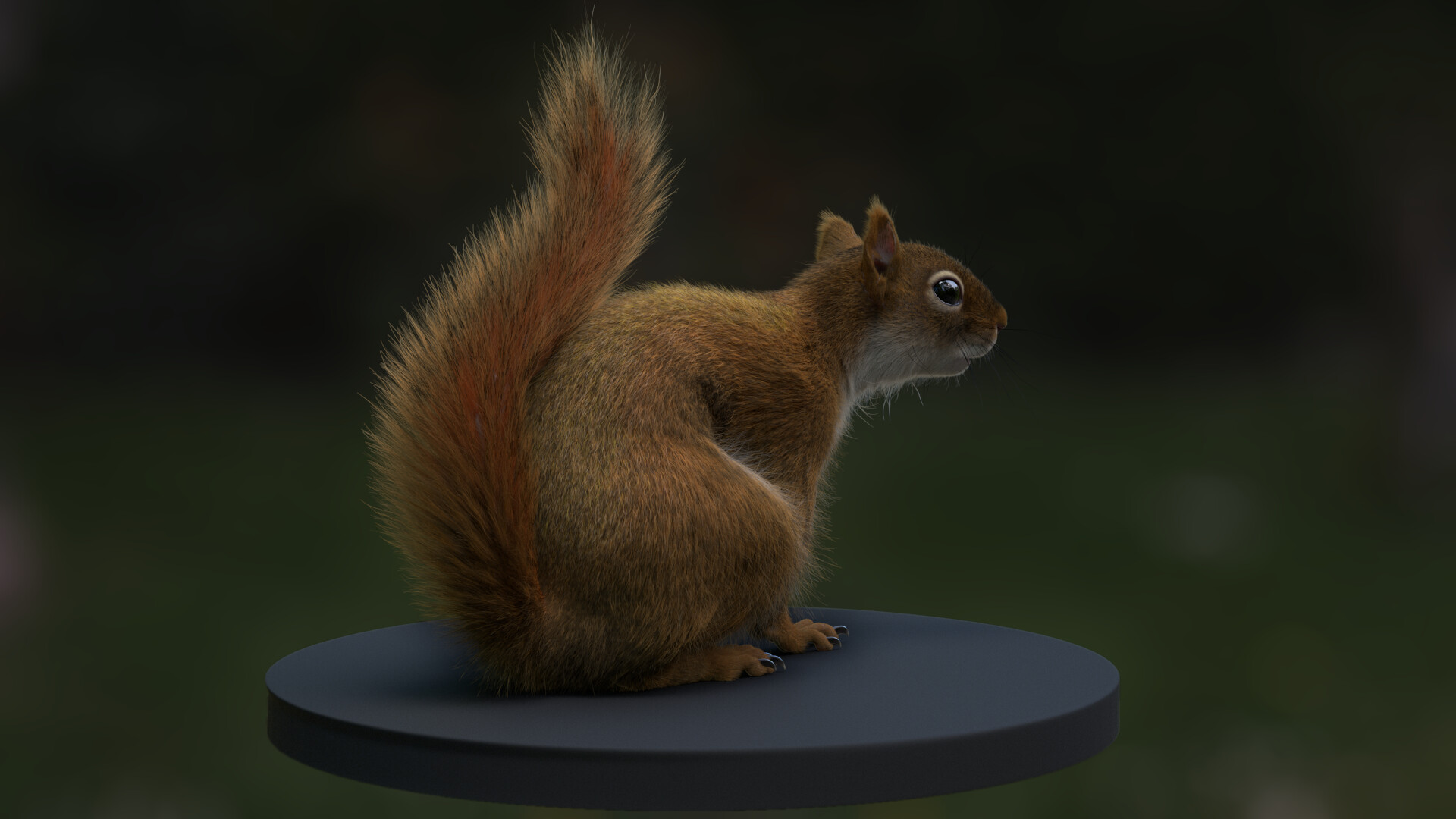 ArtStation - Squirrel