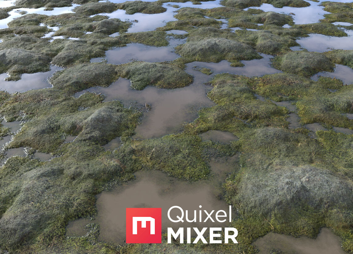 ArtStation - Quixel Mixer - Grass/Stone/Water