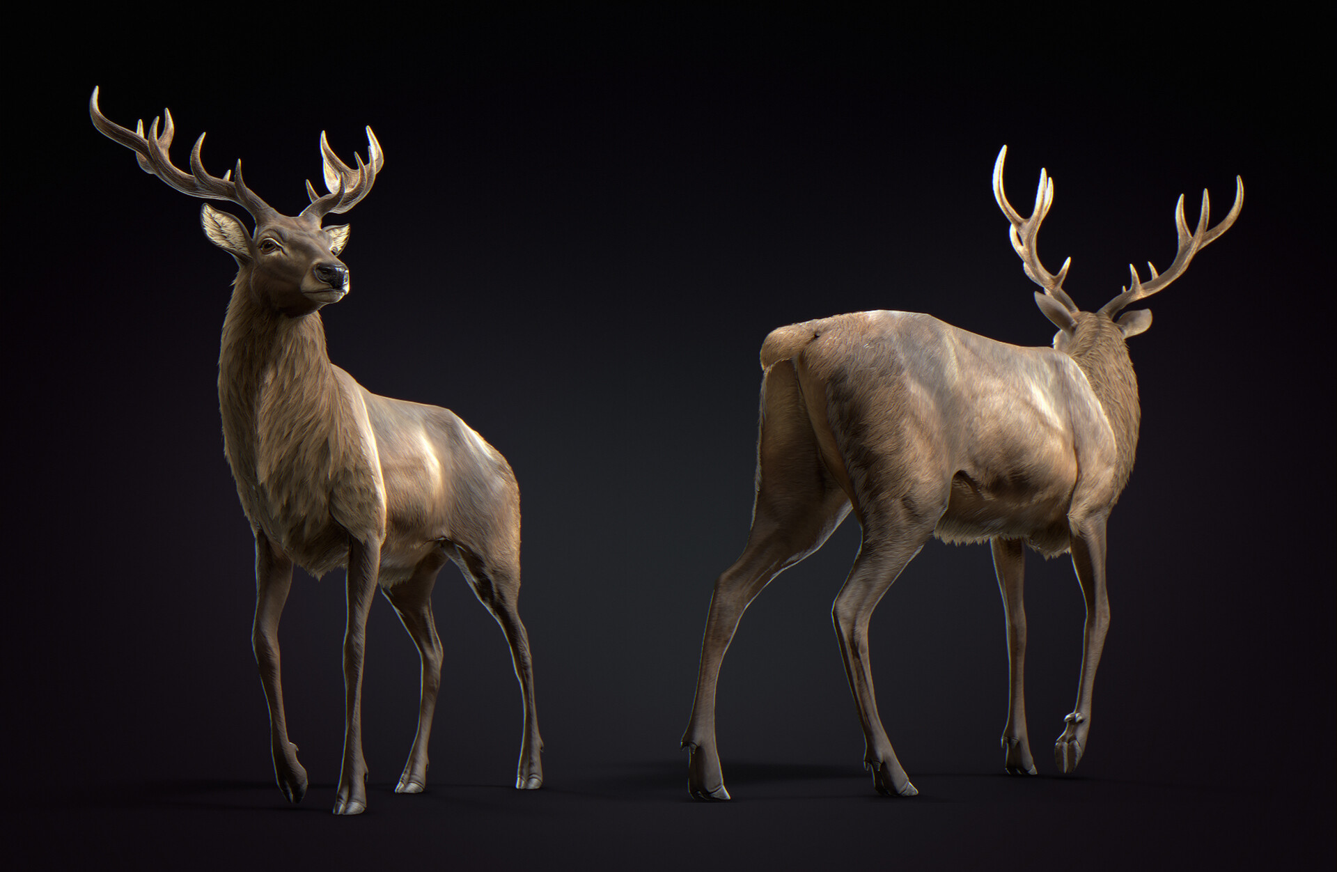 ArtStation - Red Deer (Real-time)