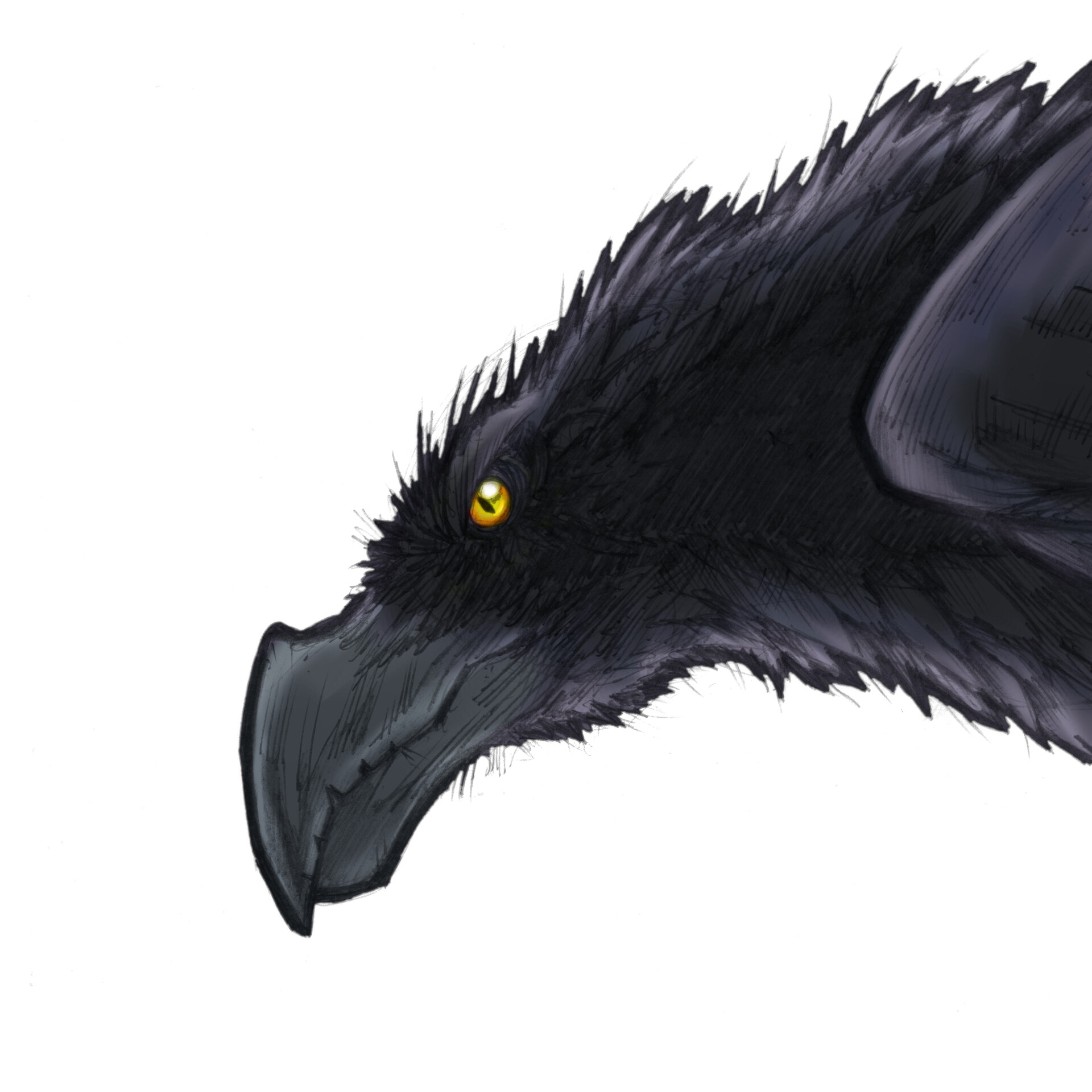 ArtStation - Raven Artwork