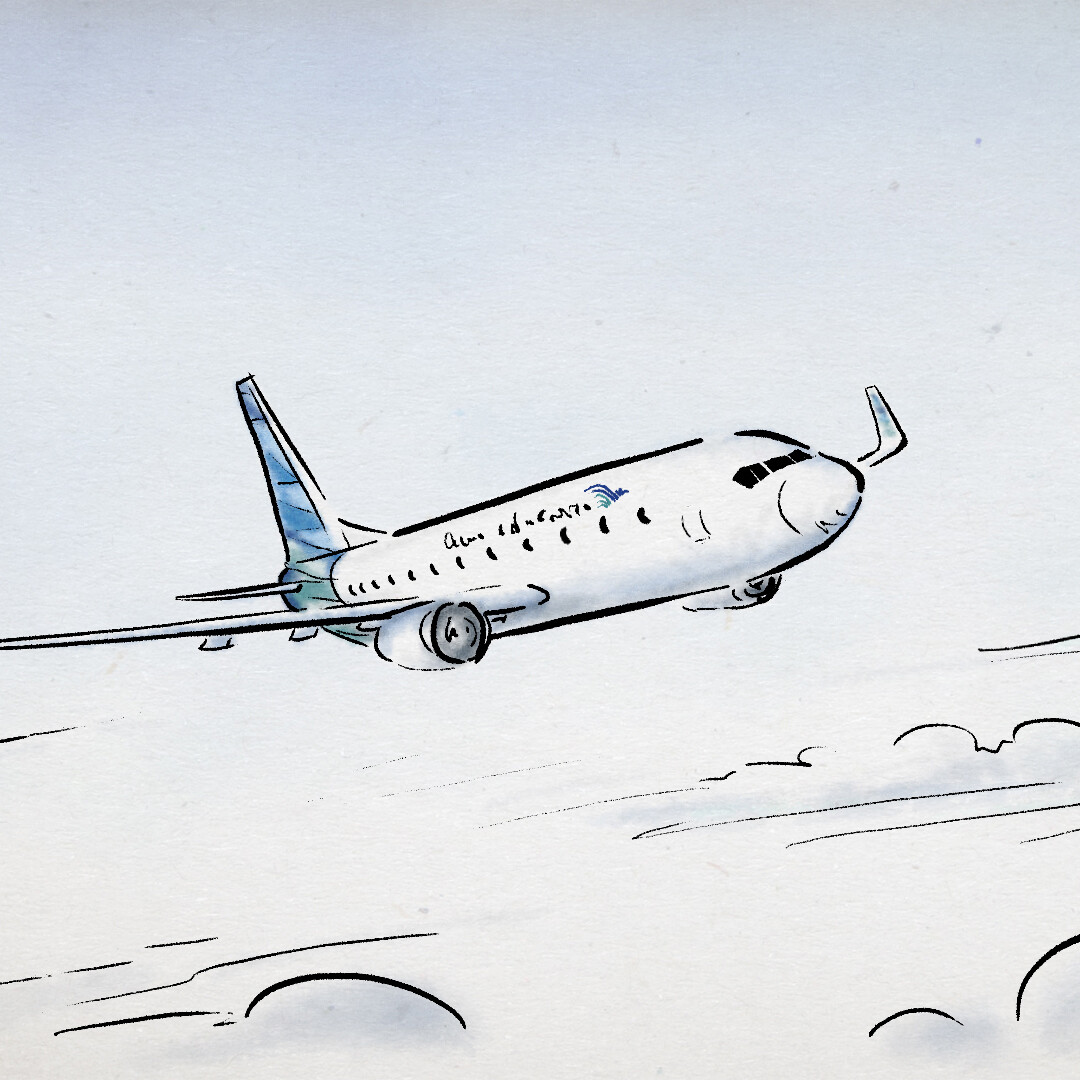 ArtStation - Back From The Brink: Garuda Airlines