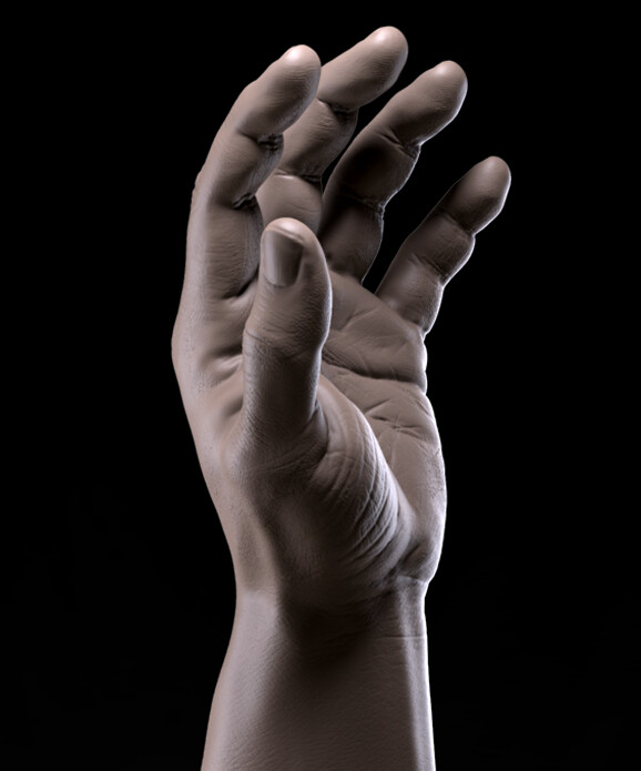 ArtStation - Hand | Sculpt