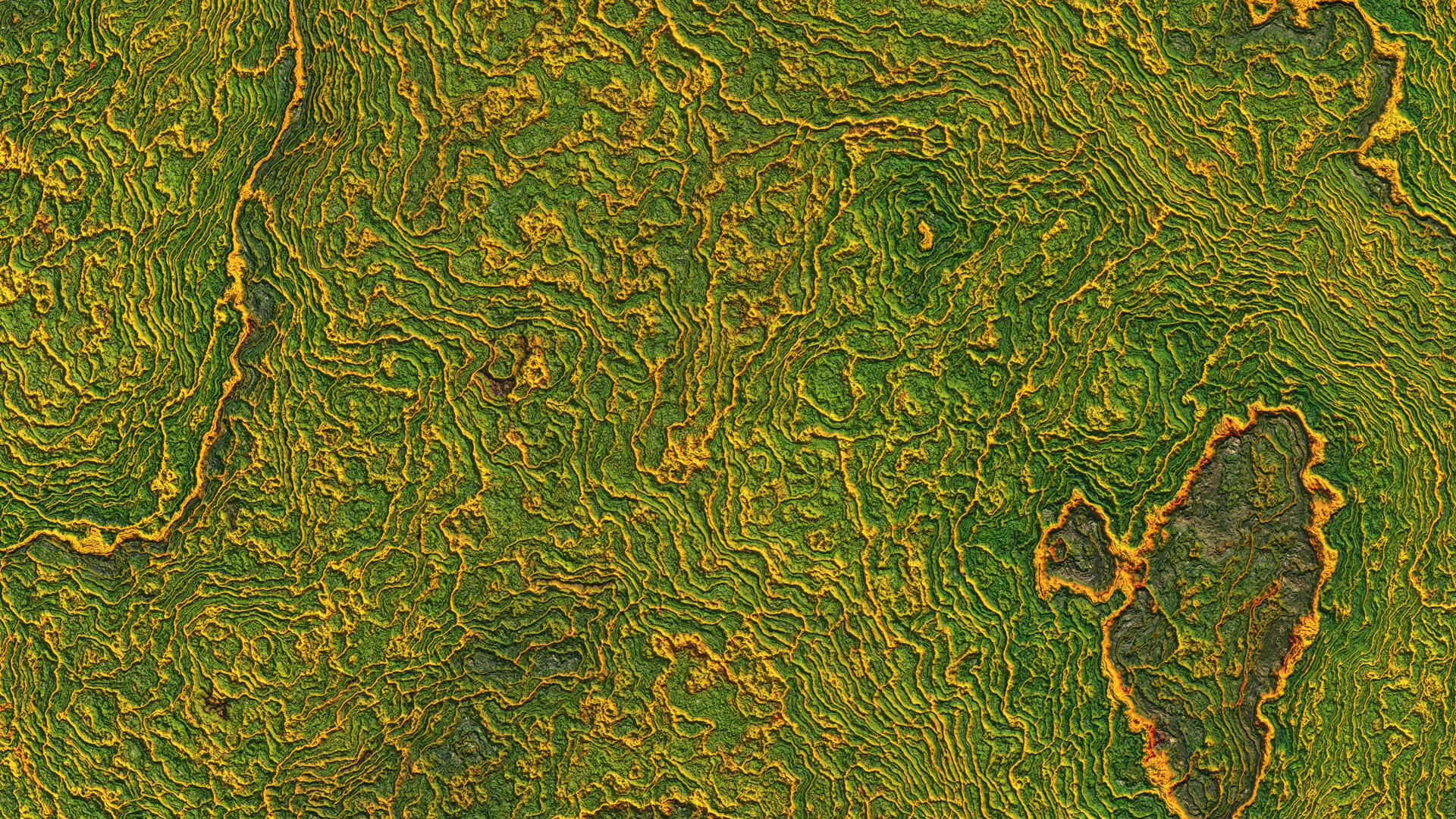 ArtStation - Organic Animated Textures (WIP project for V-jing)