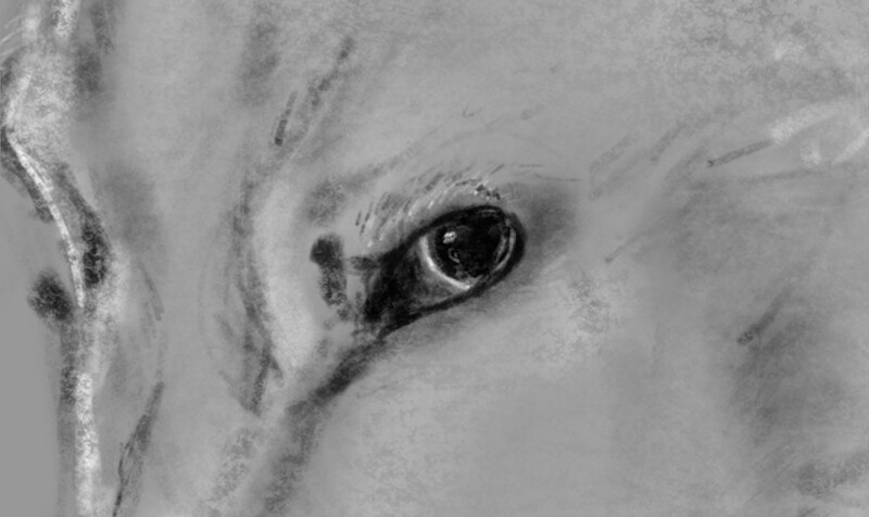 ArtStation - Jon Pierre