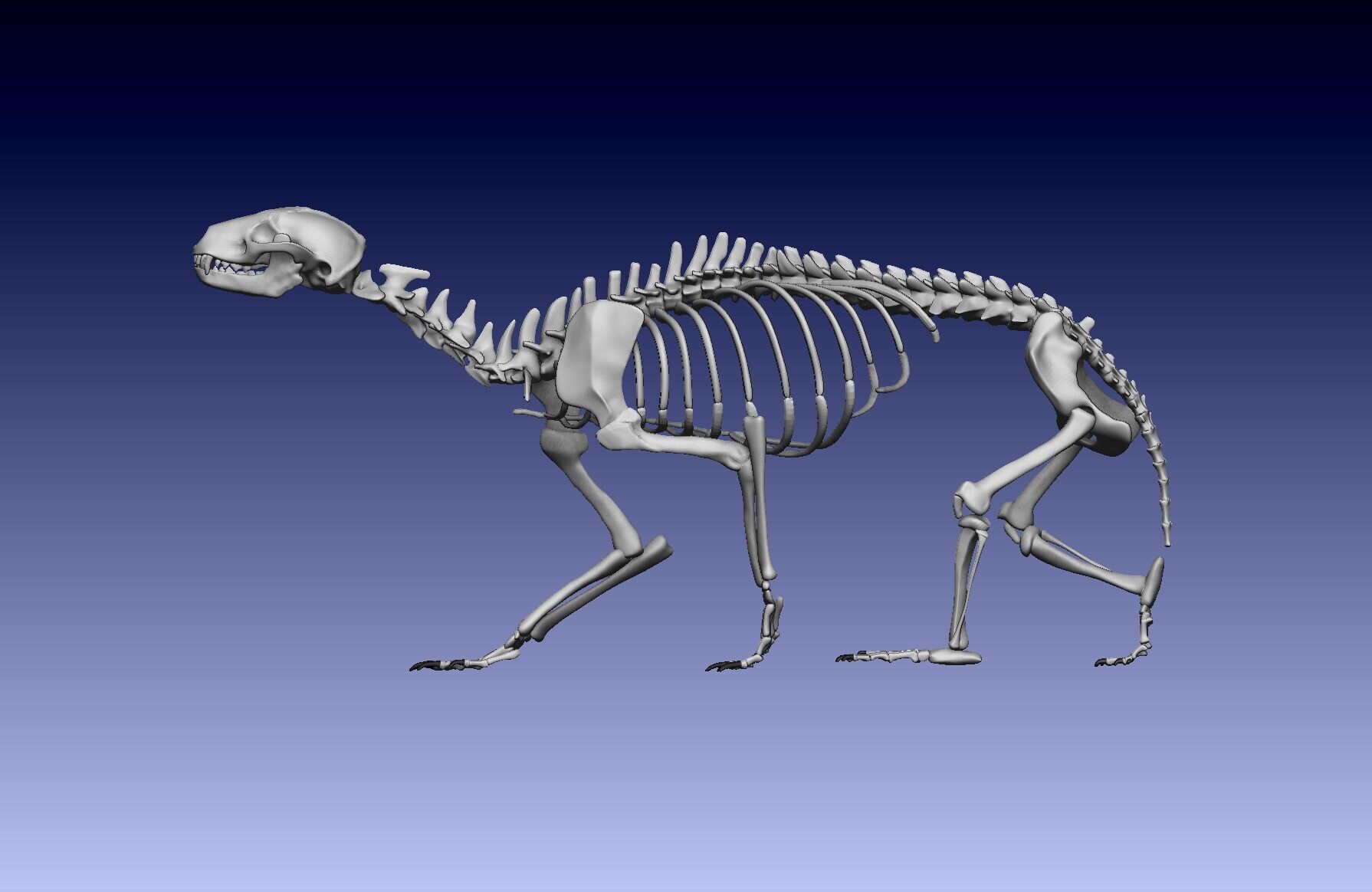 ArtStation - European Badger Study