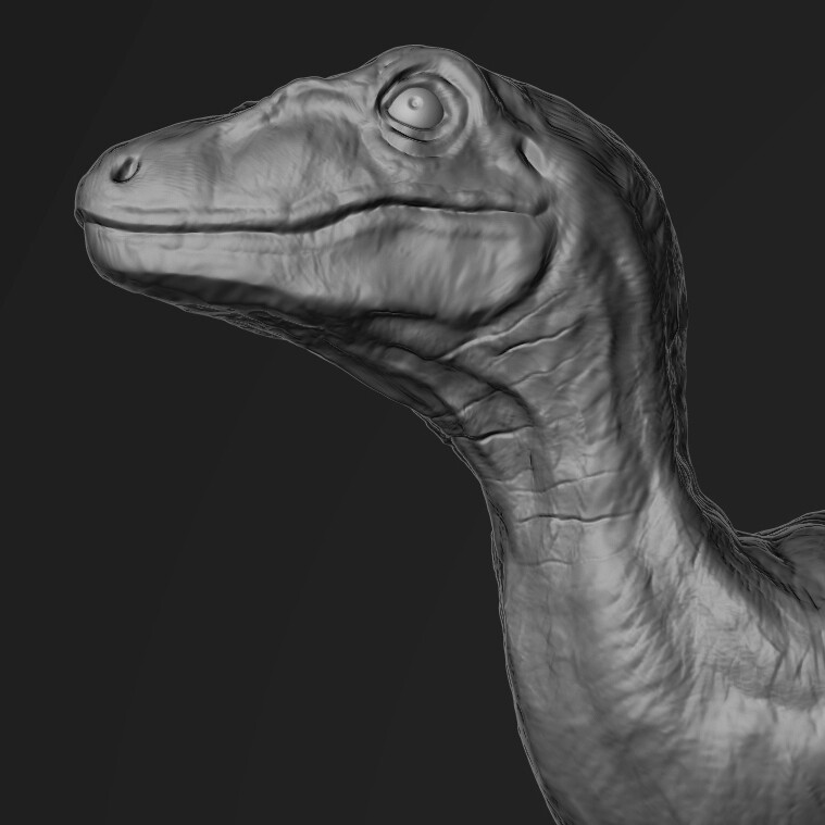 ArtStation - Velociraptor WIP