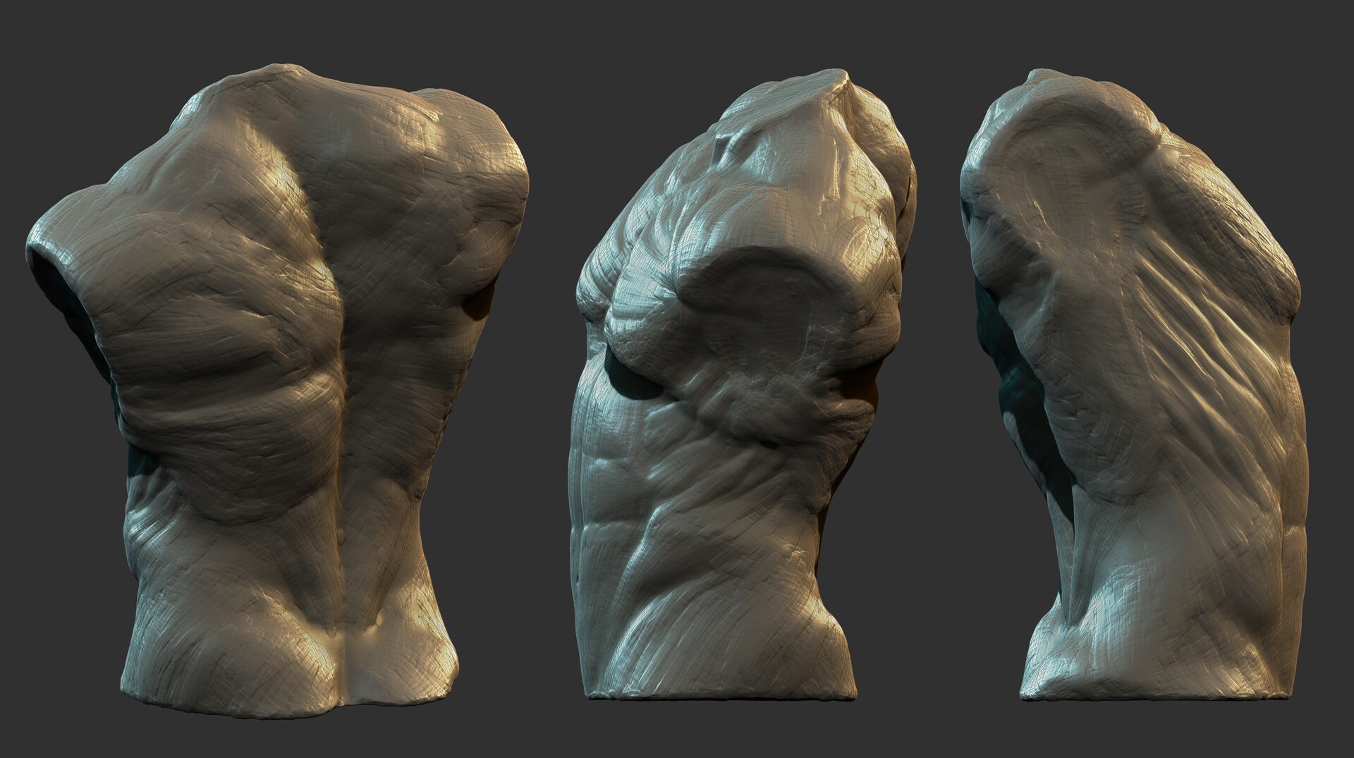 ArtStation - Male torso study