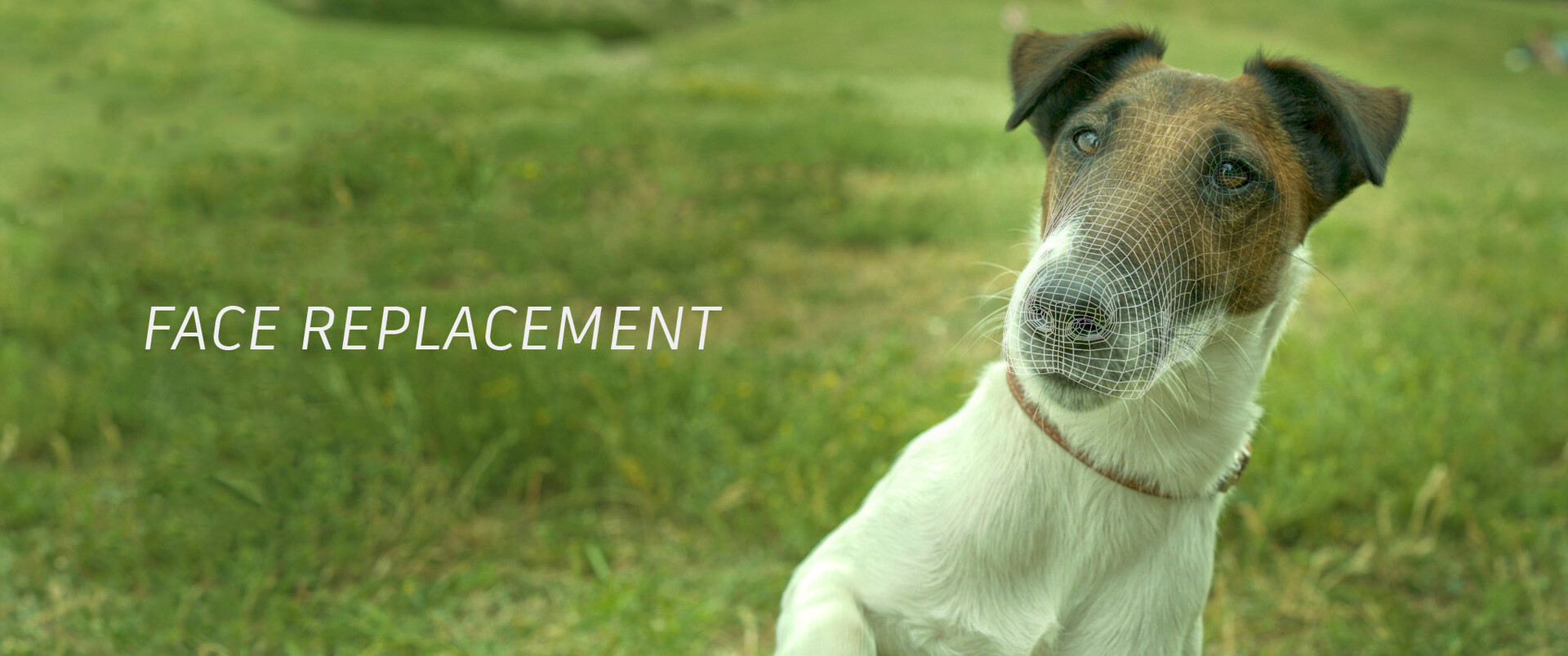 Oleg Verenko - “Foxter & Max” face replacement VFX breakdown