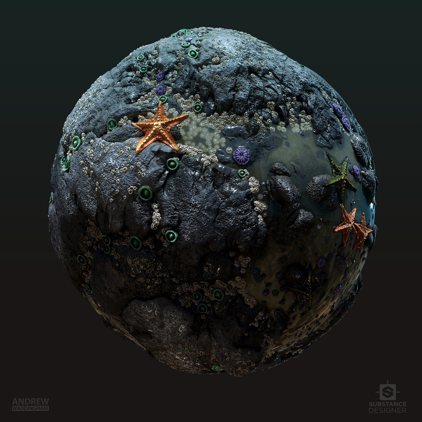ArtStation - Tide Pools