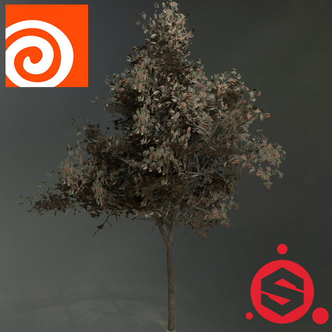 ArtStation - Procedural Trees Generator *Small to Medium sized trees