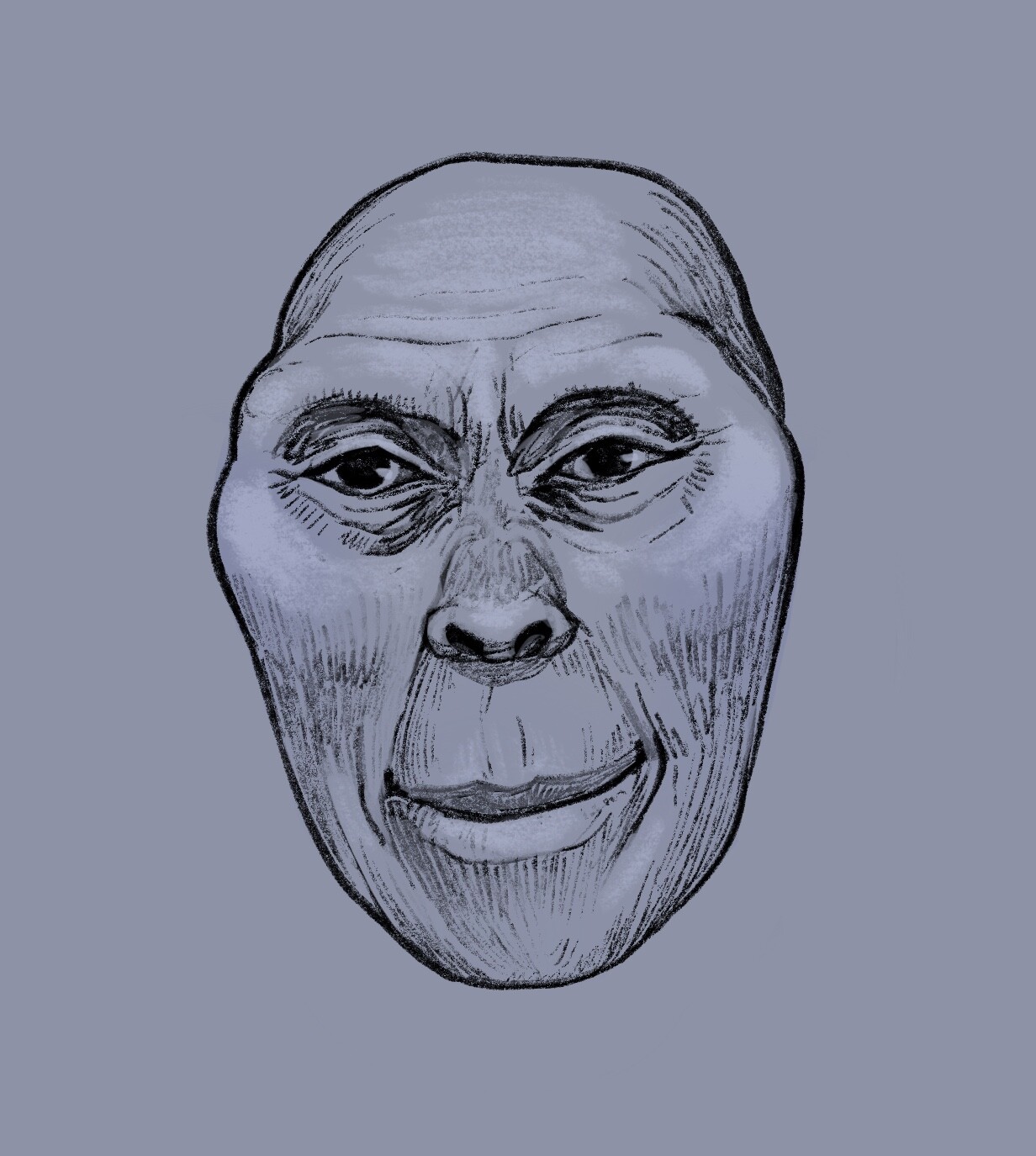 ArtStation - Gracile Australopithecus reconstruction