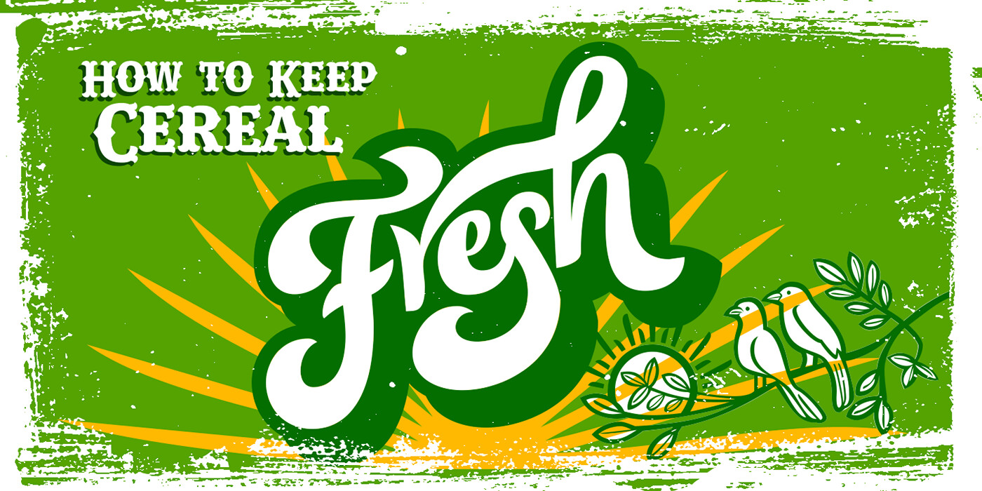 ArtStation - Nemocón Font Family ★ Vector art