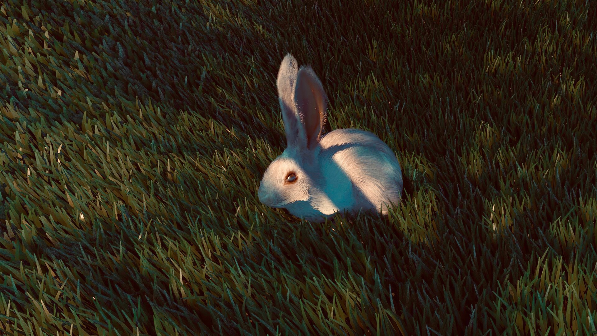 ArtStation - Rabbit animation