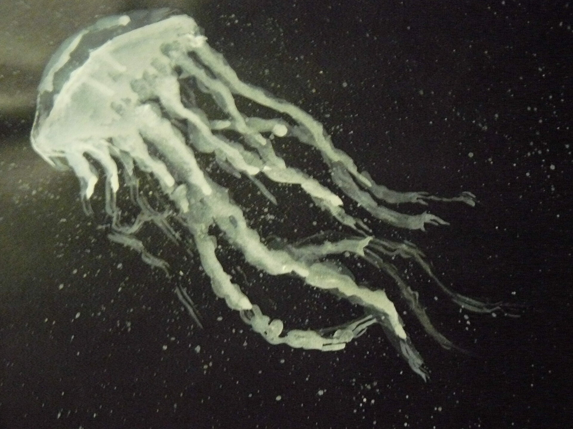 ArtStation - Oil Paint & Drafts