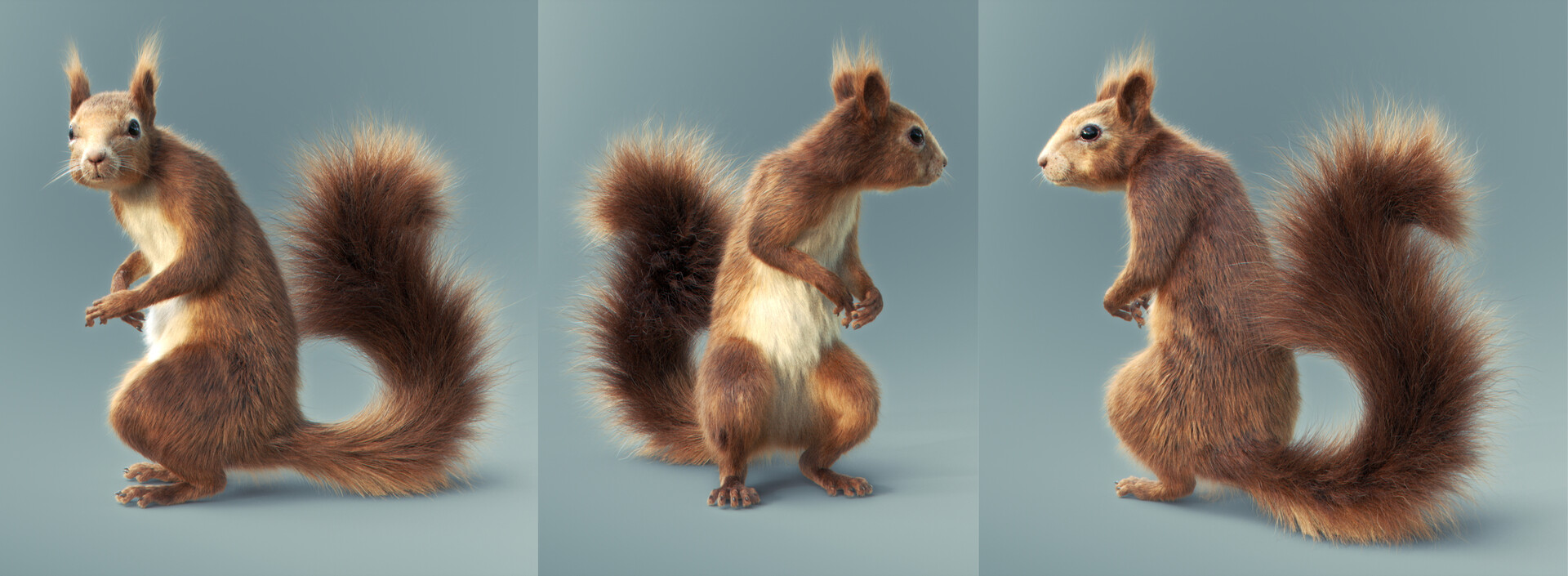 ArtStation - Squirrel