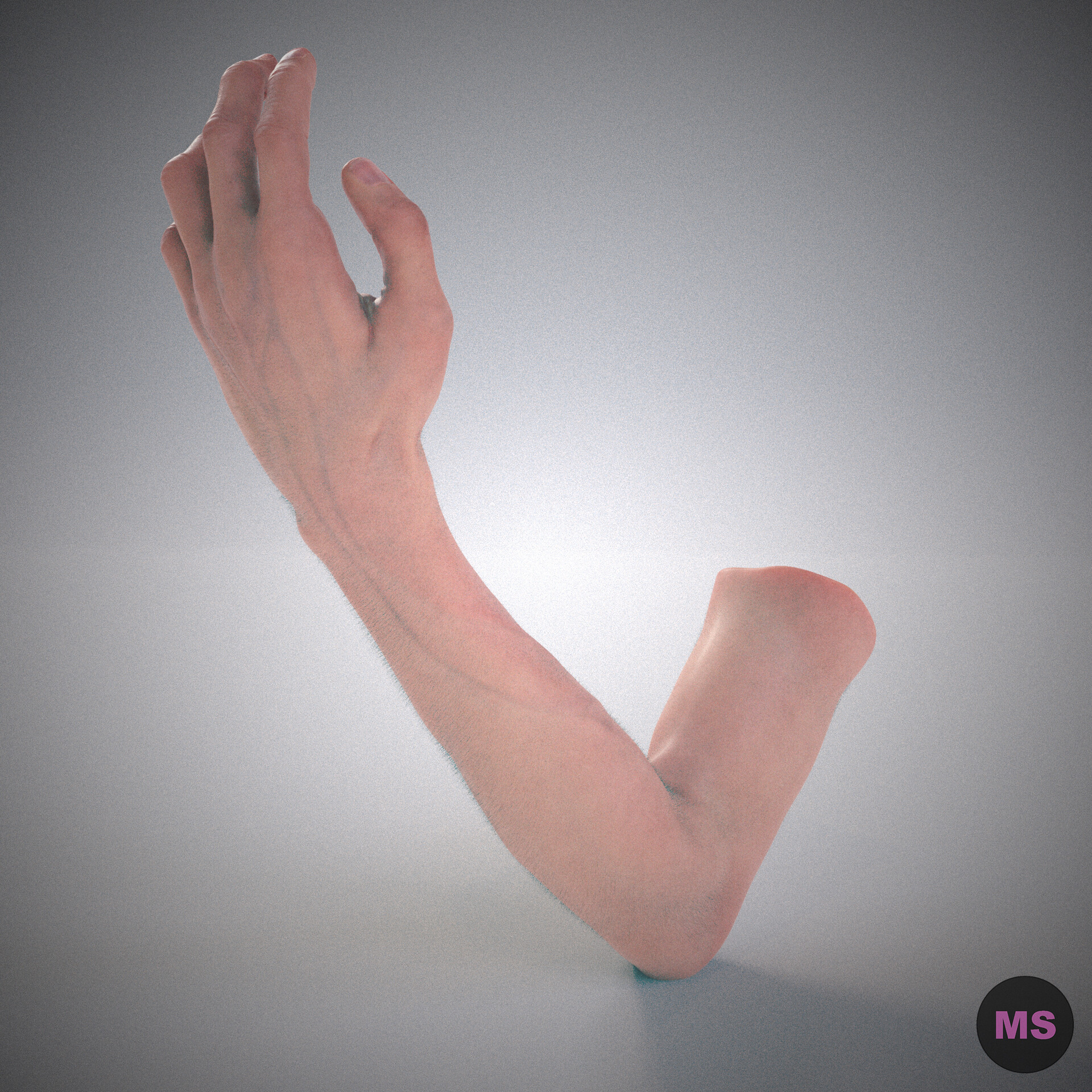 ArtStation - Arm Study - 3d Asset