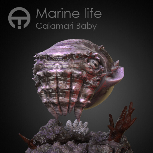 ArtStation - Baby Cuttlefish