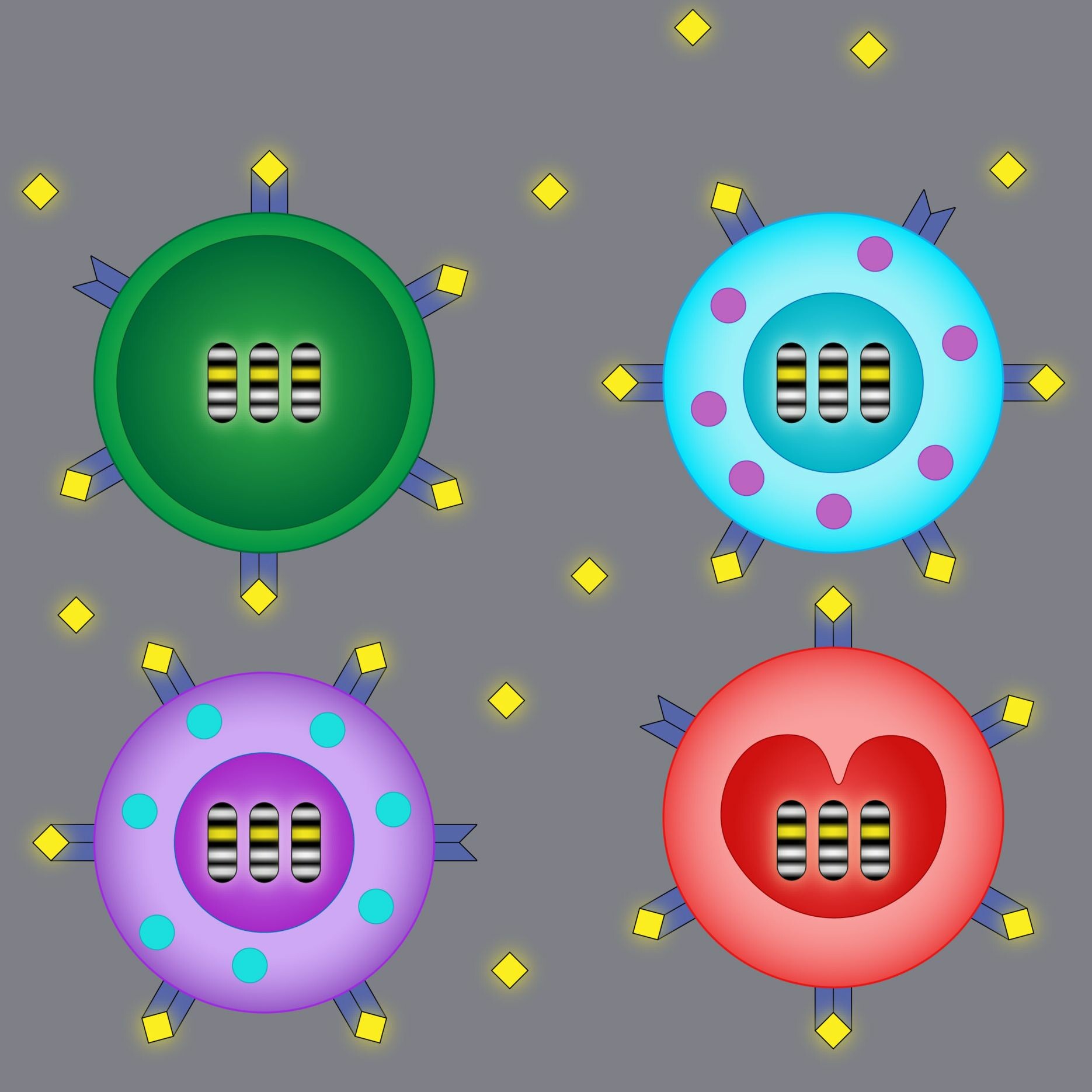 ArtStation - Cell Reports Covers