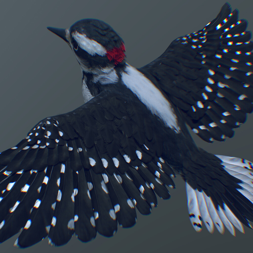 ArtStation - Bird models - commissioned work (2017)