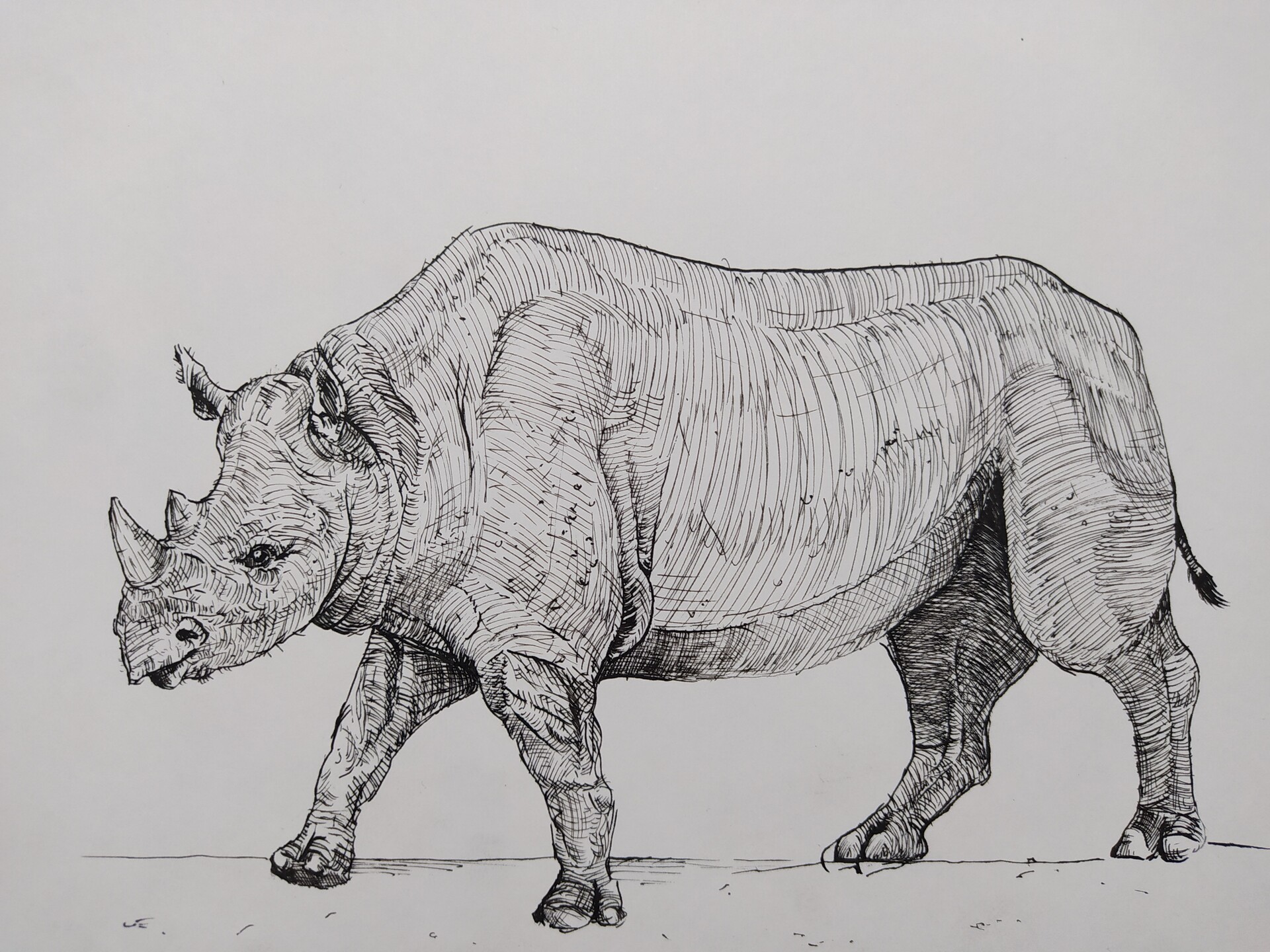 ArtStation - Ink Rhino