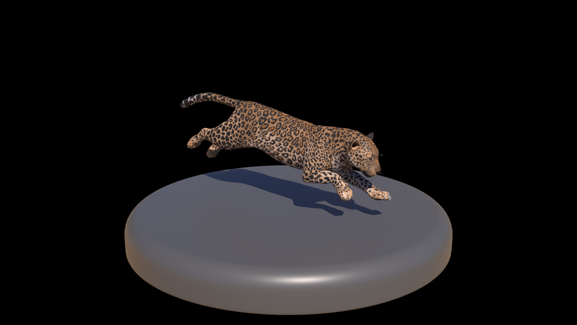 ArtStation - Leopard run cycle