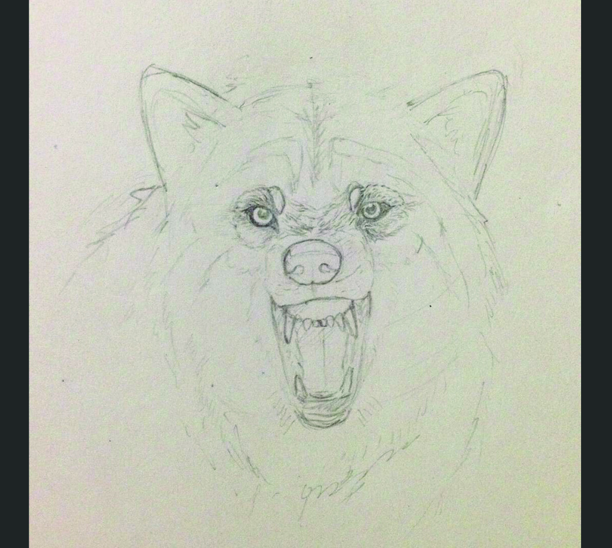 ArtStation - Sketch Wolf