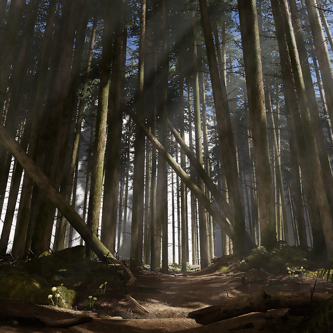 ArtStation - Forest Exercise - CryEngine