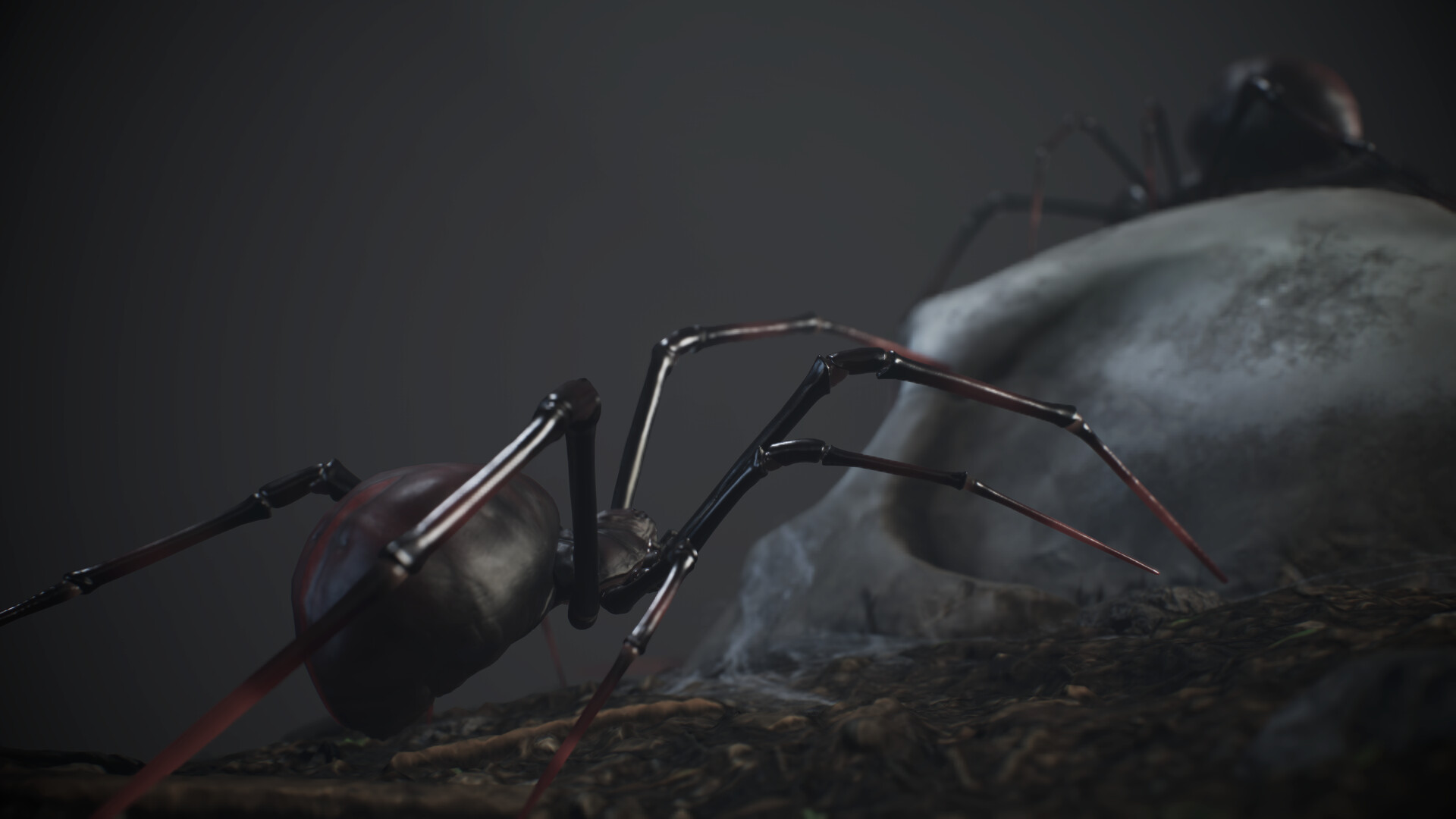 ArtStation - Redback Spider