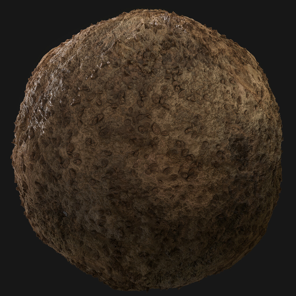 ArtStation - Rocky Mud