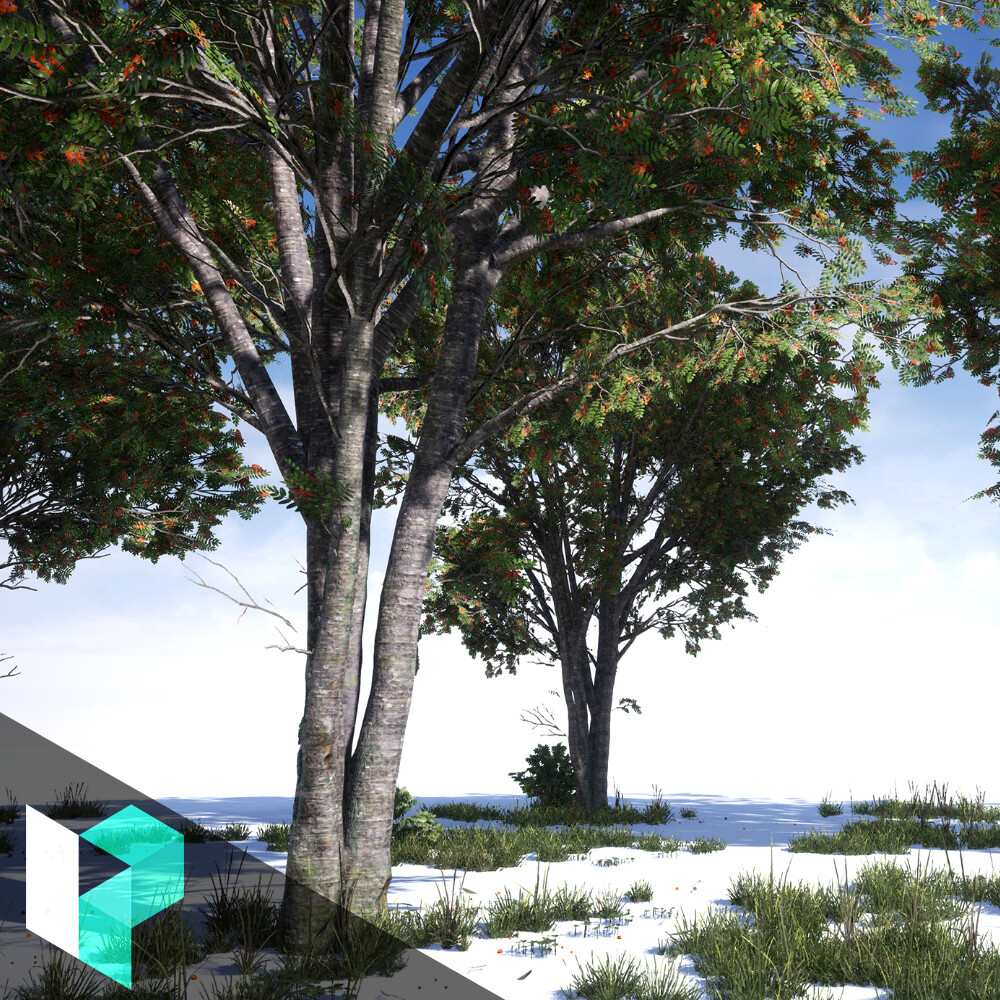 ArtStation - Game-Ready Tree Tutorial