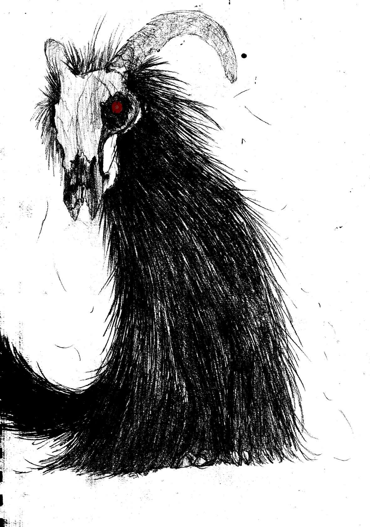 ArtStation - Skull drawing practice