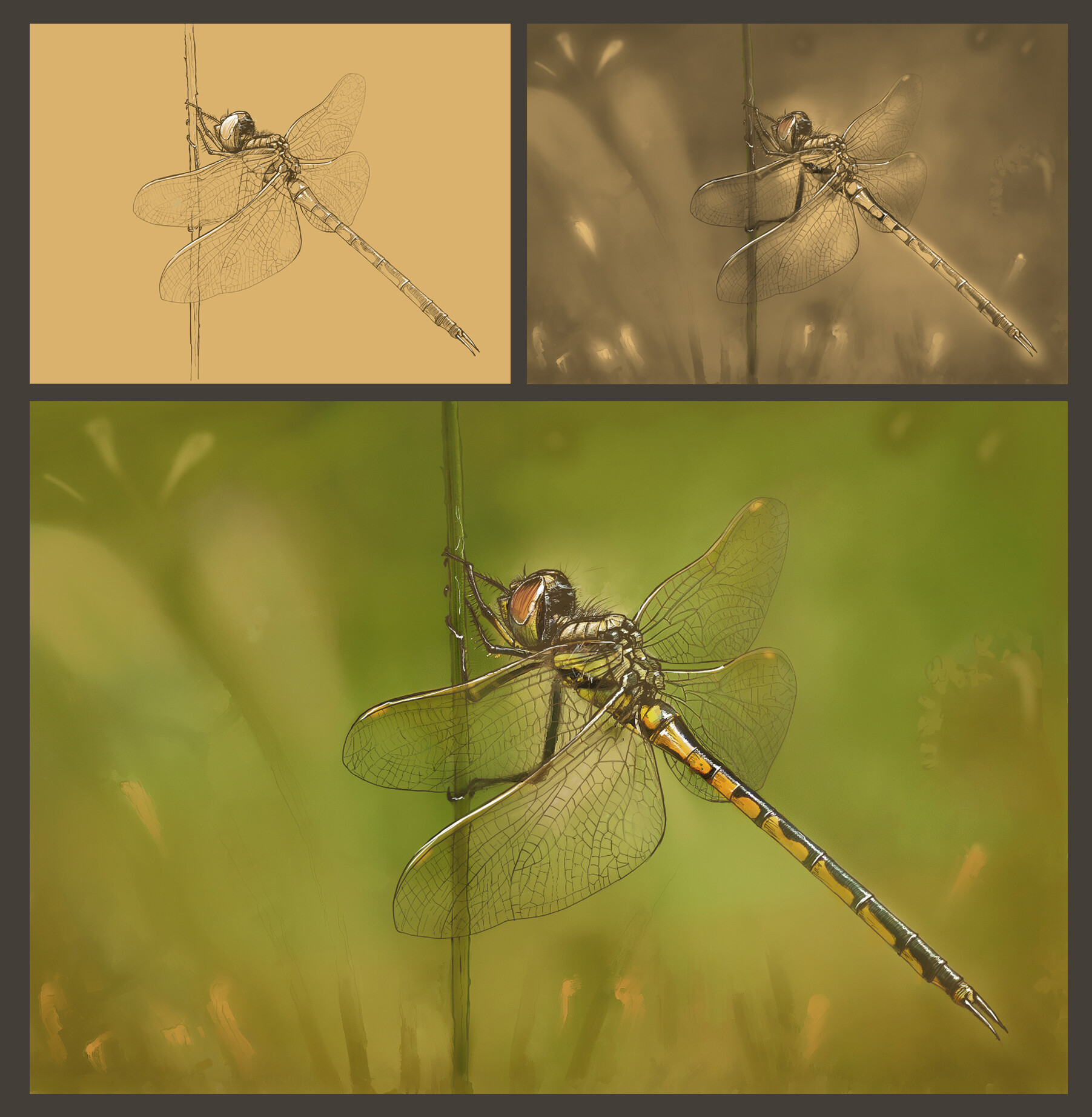 ArtStation - Dragonfly