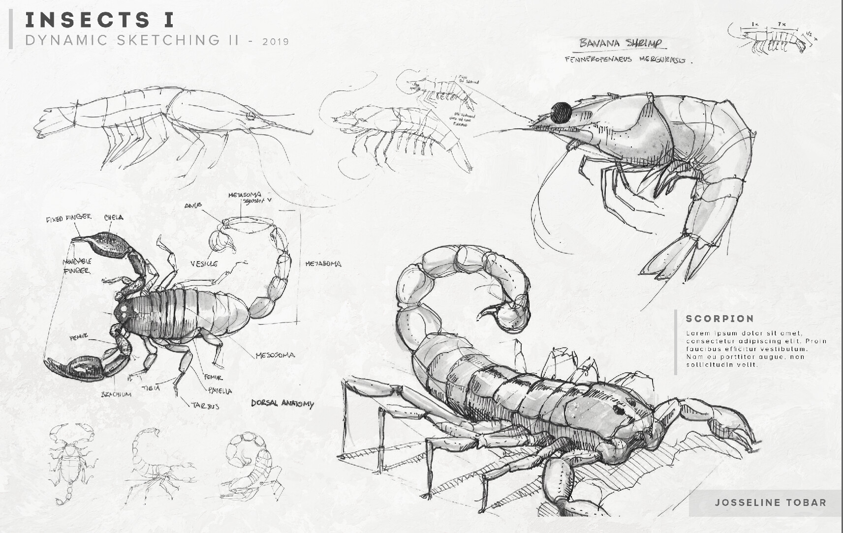 ArtStation - Dynamic Sketching II