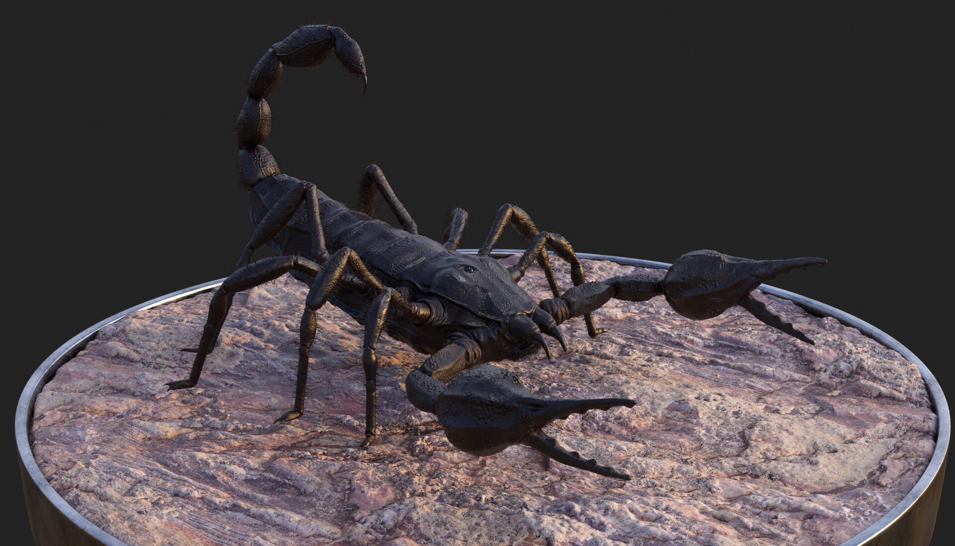 ArtStation - Alligator Scorpion