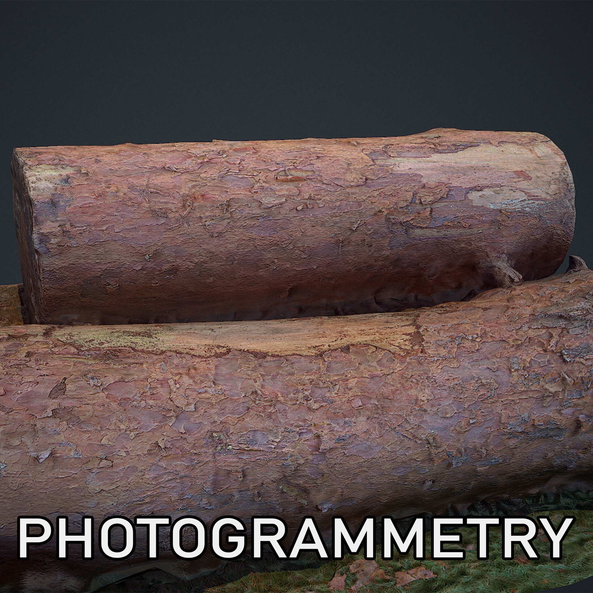 ArtStation - Logs - Photogrammetry study