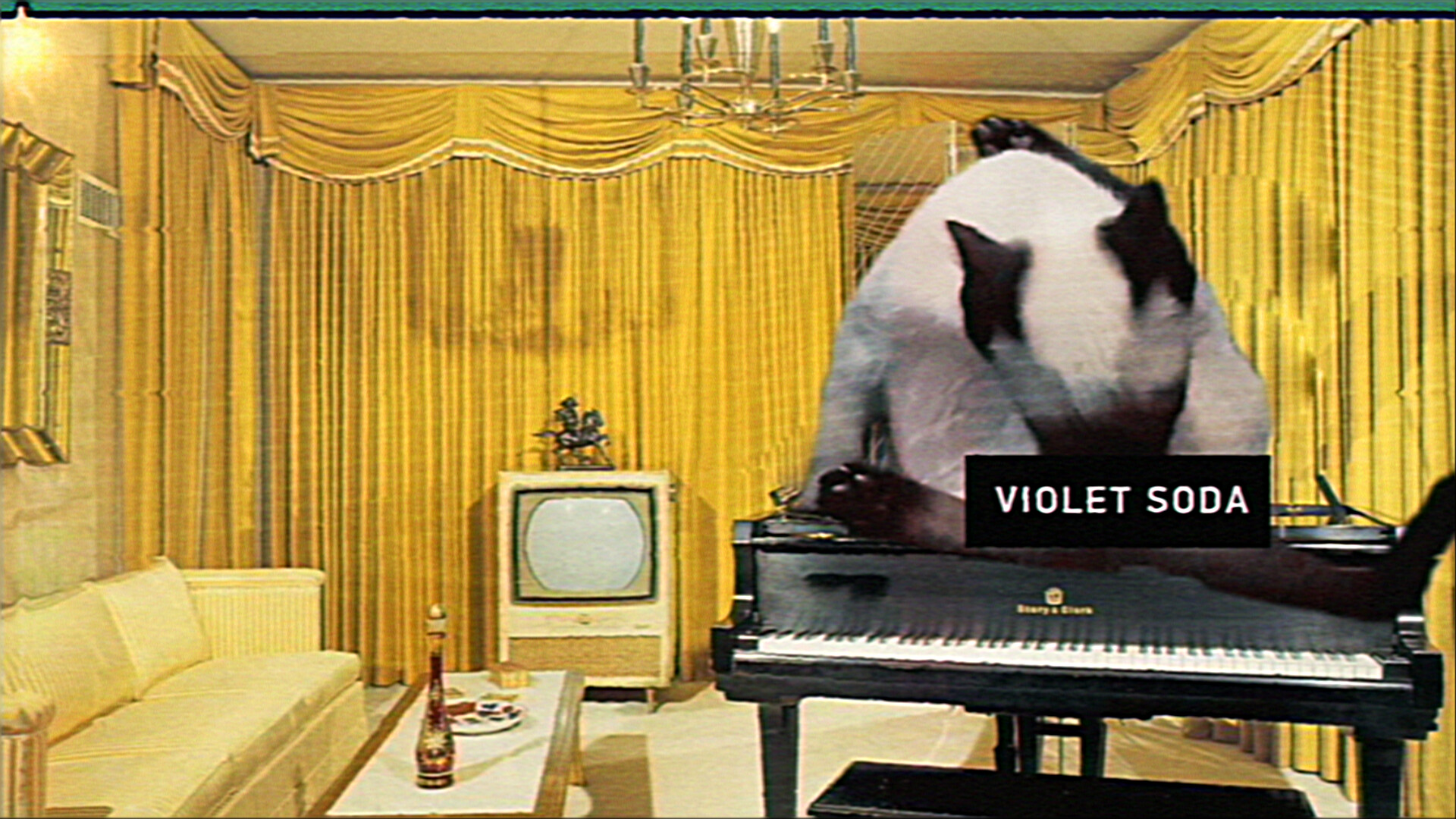 ArtStation - Lazy Guy - Violet Soda