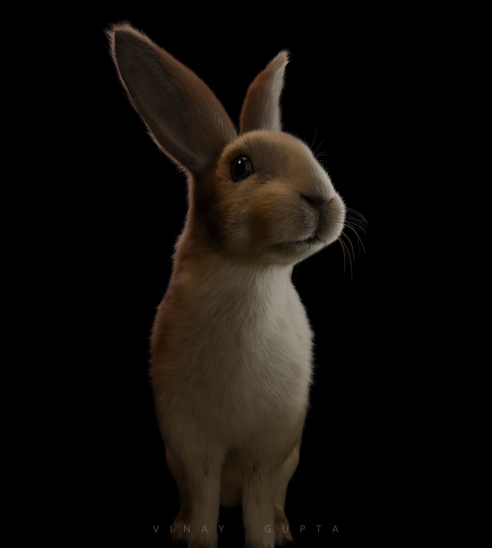 ArtStation - The Rabbit (Atto)