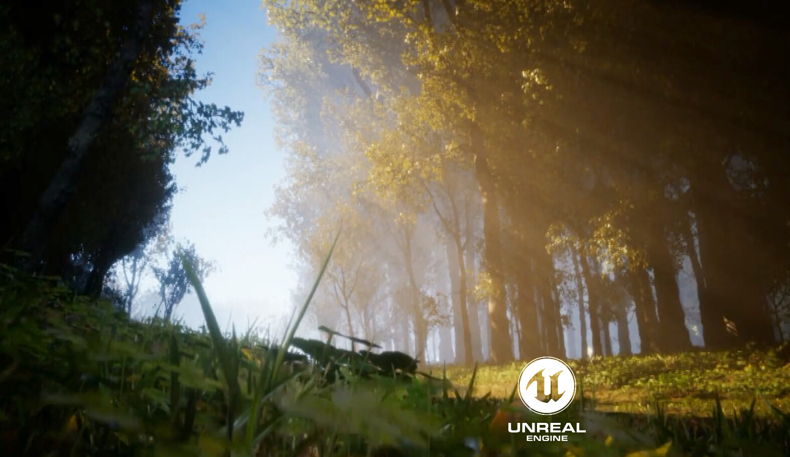 ArtStation - Unreal Engine - Forest Lighting tests
