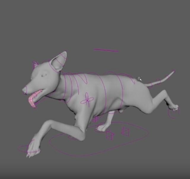 ArtStation - Canine Rig