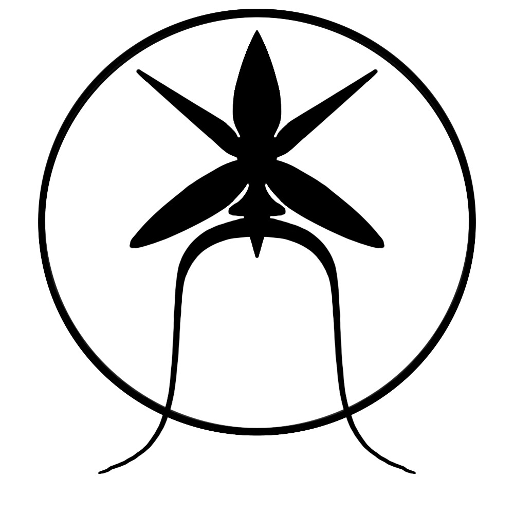 ArtStation - Destiny 2 Factions - expanded