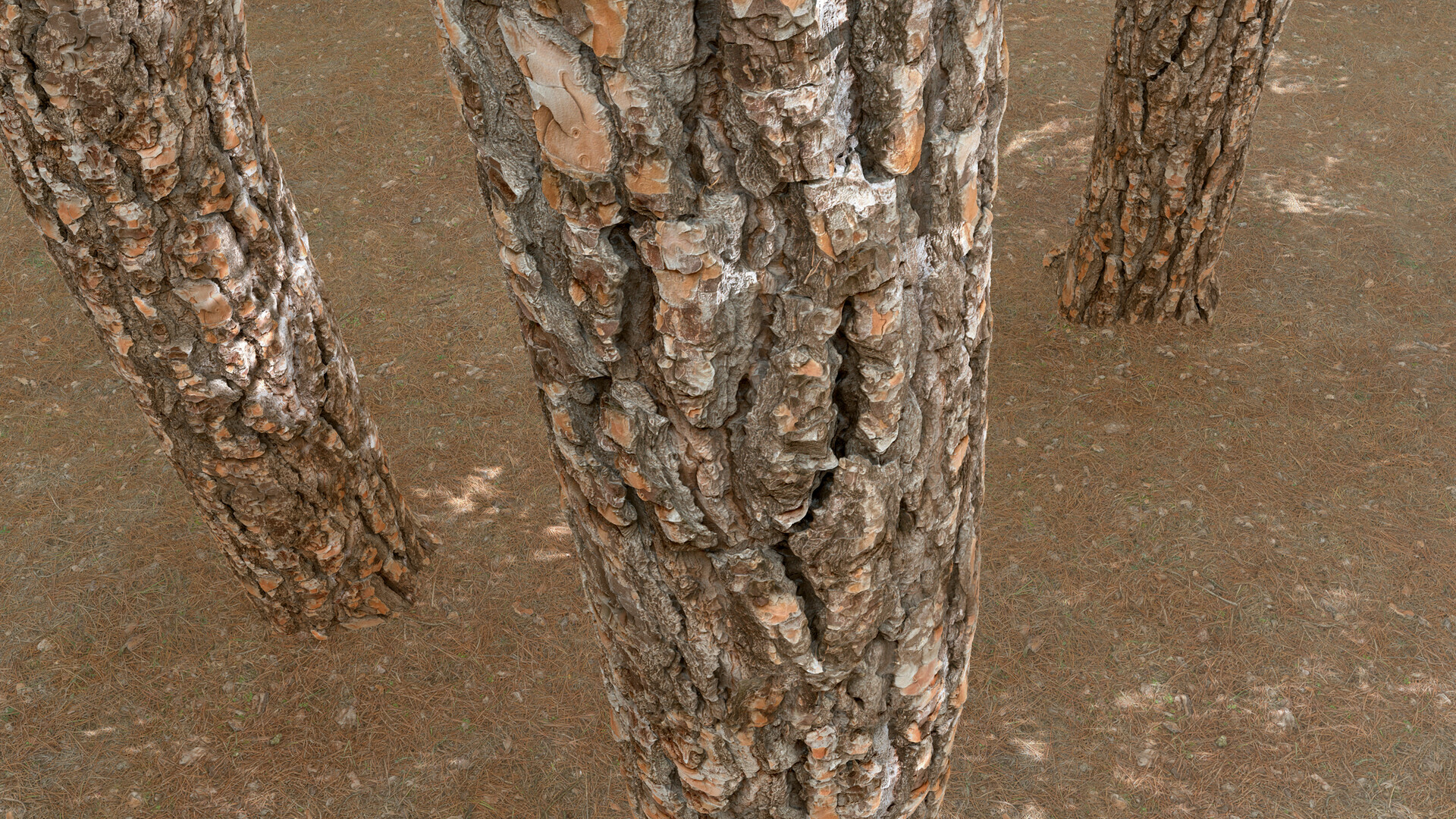 ArtStation - Pine Tree Bark - Photogrammetry Material