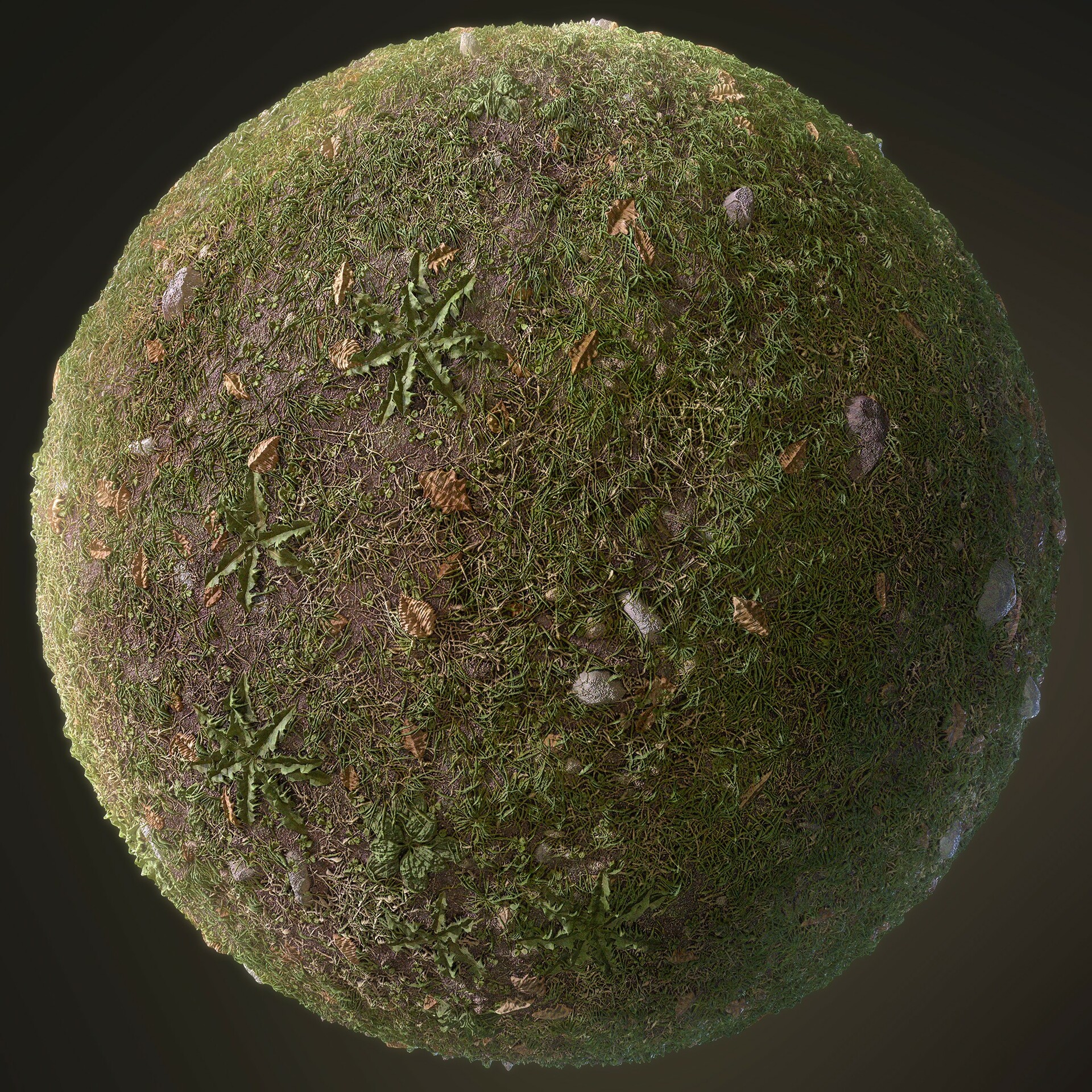 ArtStation - Substance Designer - Grass Study