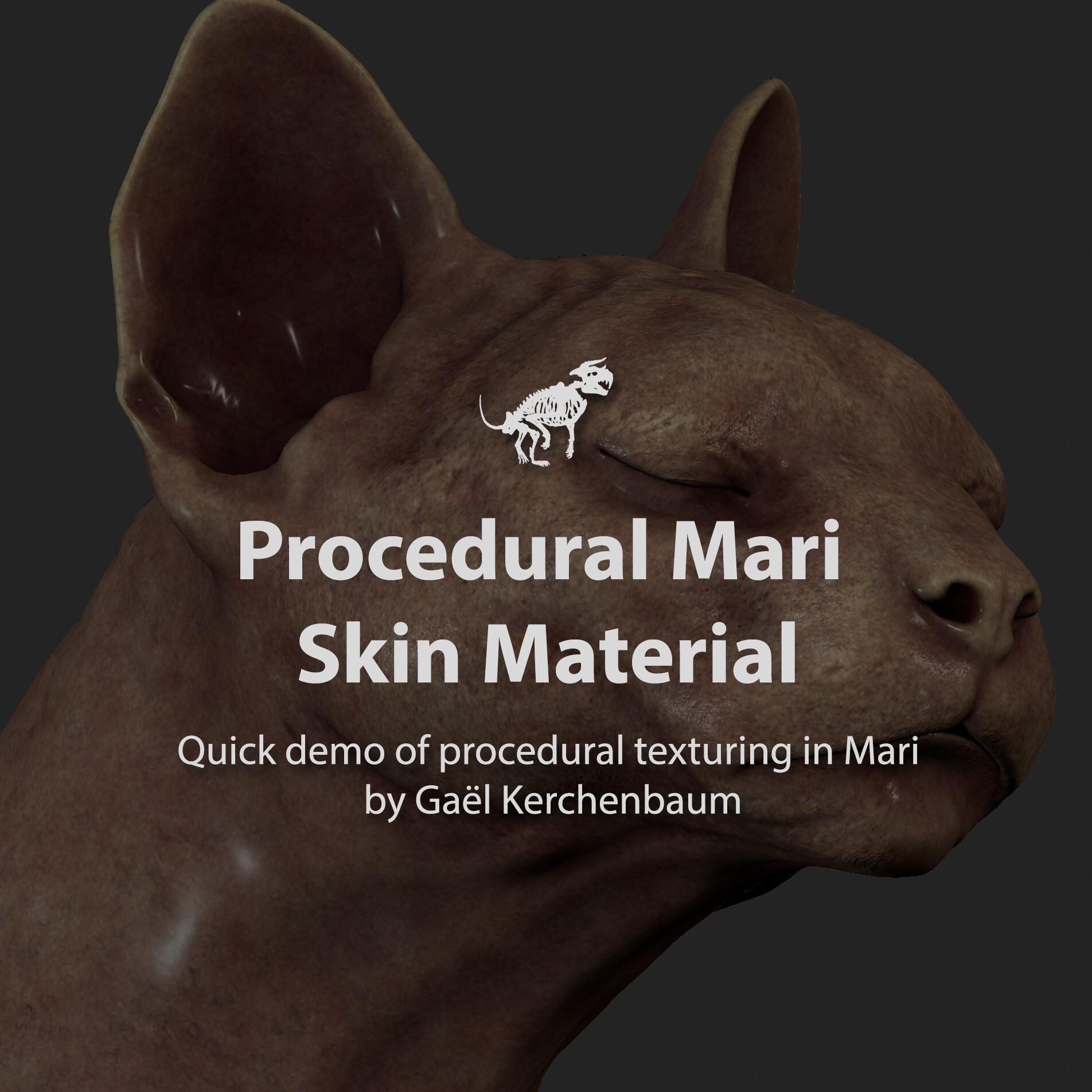 Gael Kerchenbaum - Skin Material in Mari 4.6v2