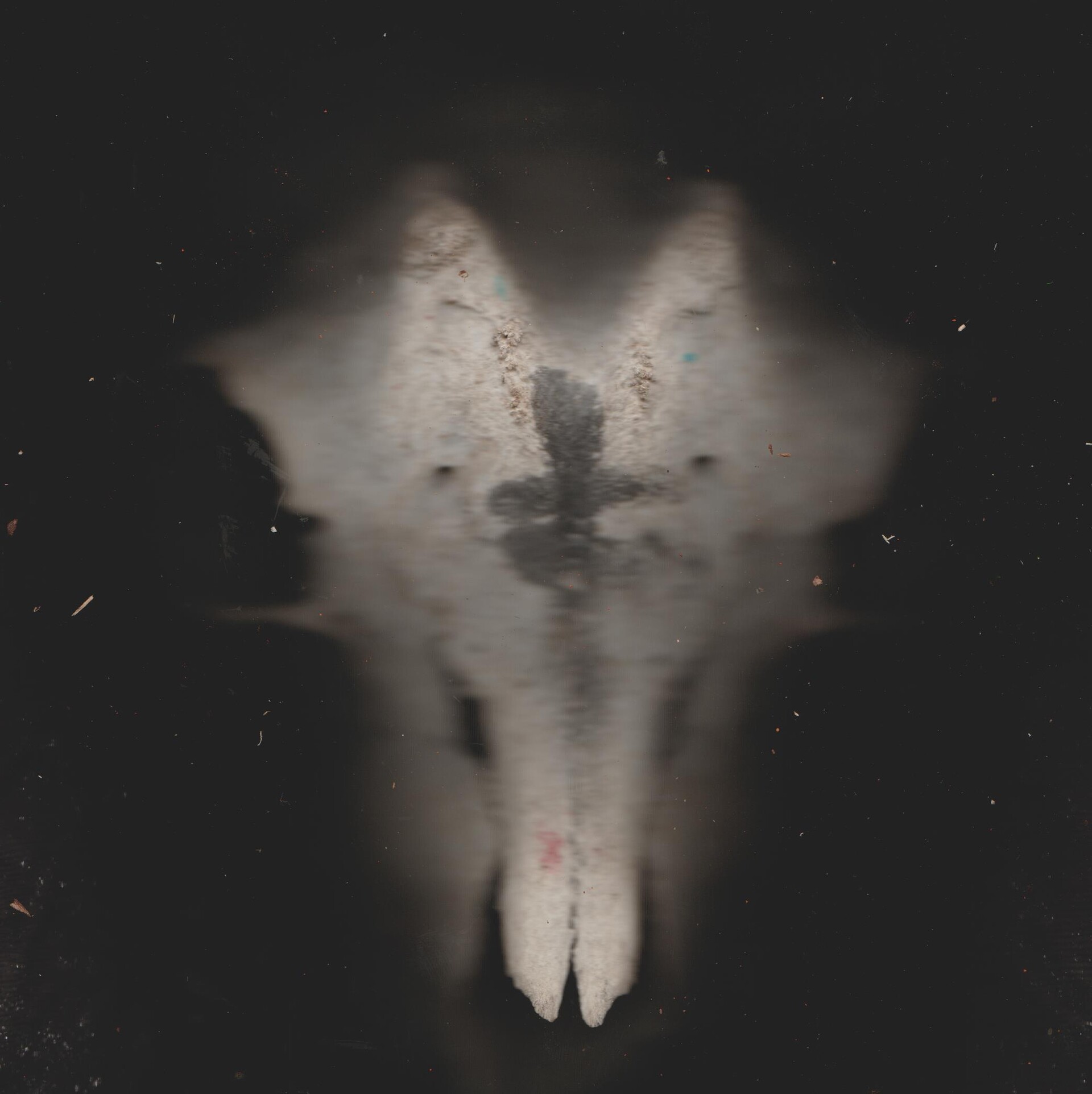 ArtStation - Skull Scans