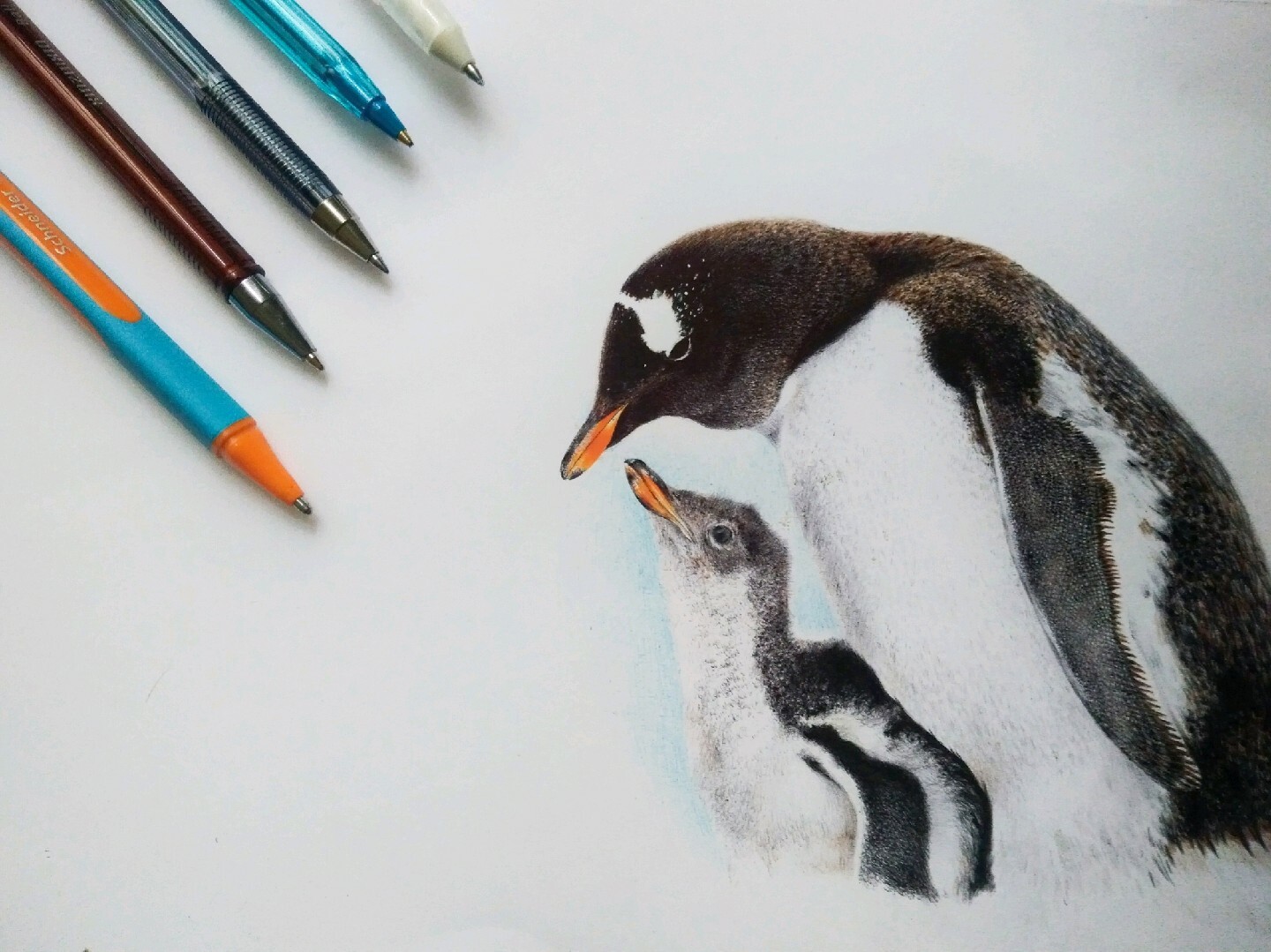 ArtStation - [Ballpoint pen] Pygoscelis papua