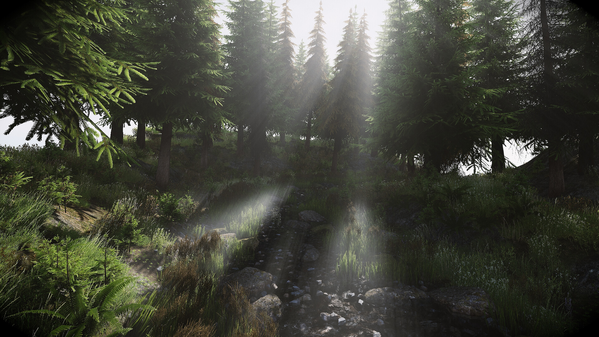 ArtStation - Environment Scene - Forest