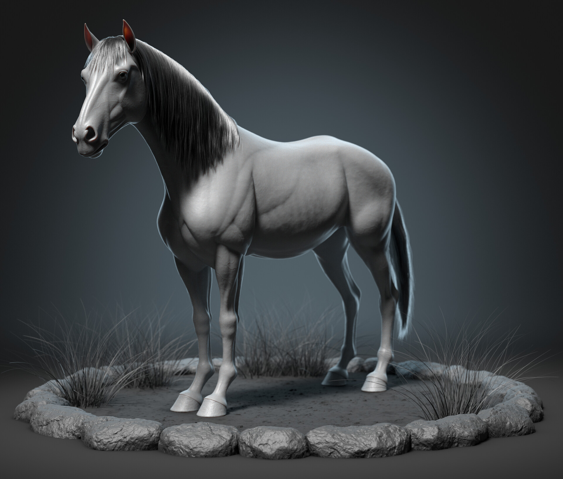 ArtStation - Horse - Anatomy Study
