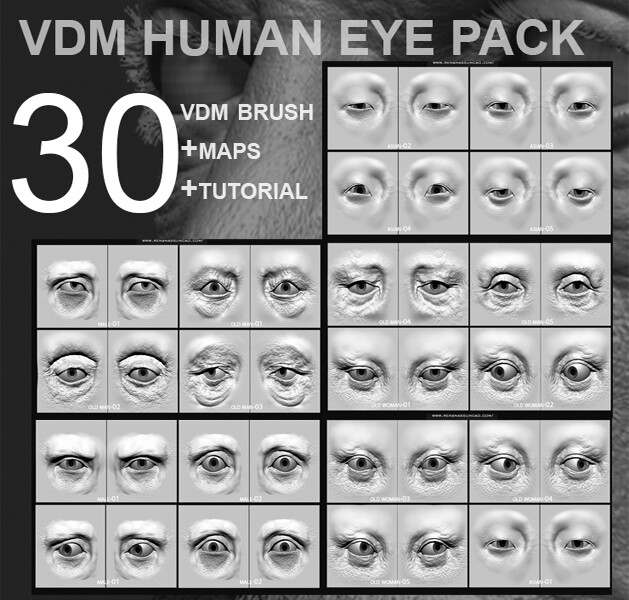 ArtStation - VDM - FULL HUMAN EYE PACK [30+MAPS]