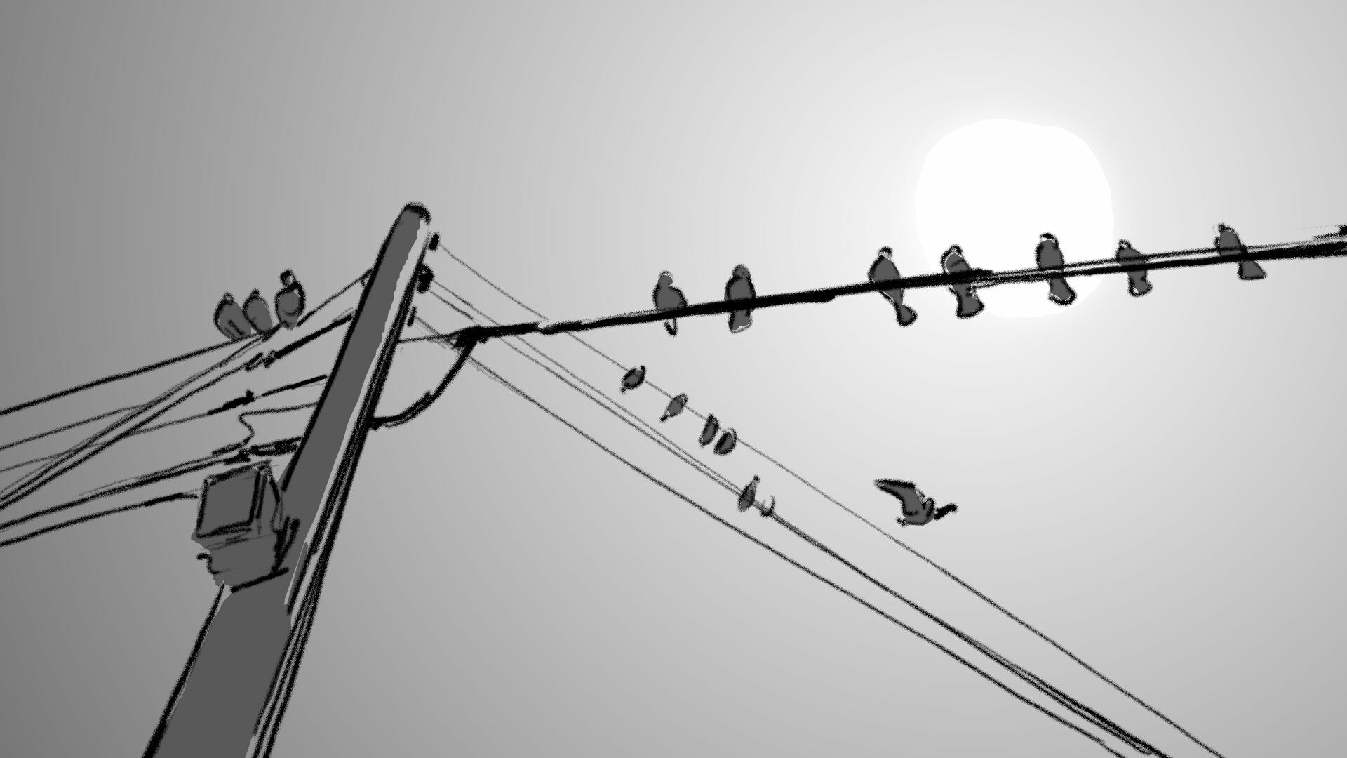 ArtStation - Storyboard(bird practice!)